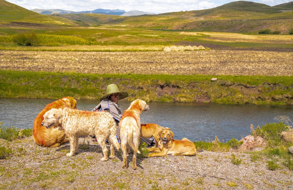 More Photos of Lesotho | Zigzagging with Bill and Paige