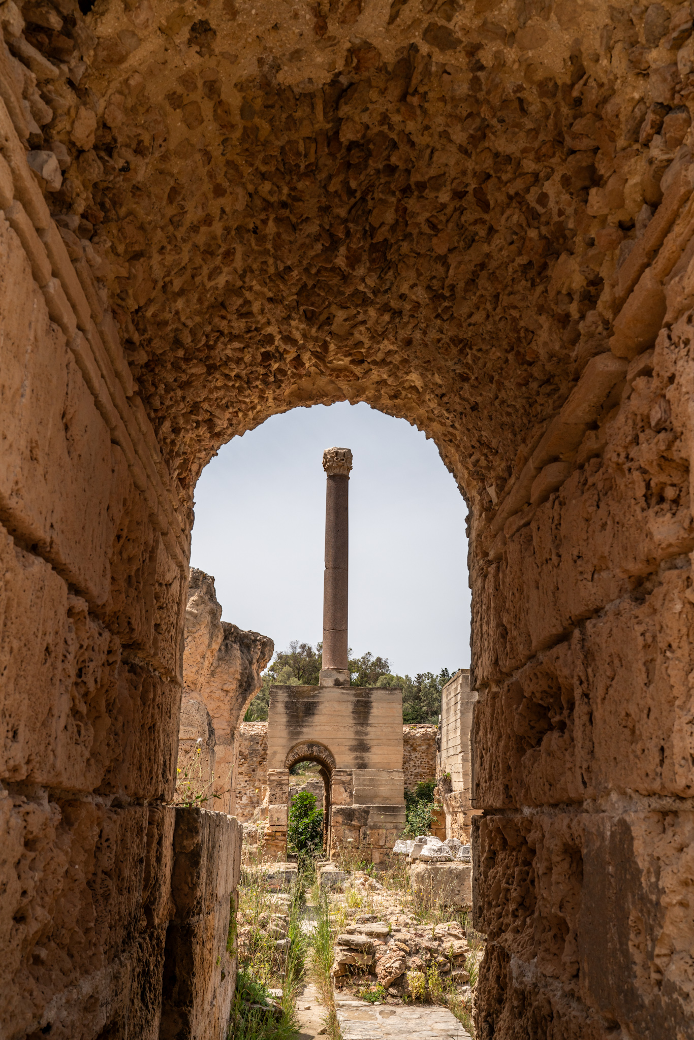 tunis-paige-2025-804 | Zigzagging with Bill and Paige